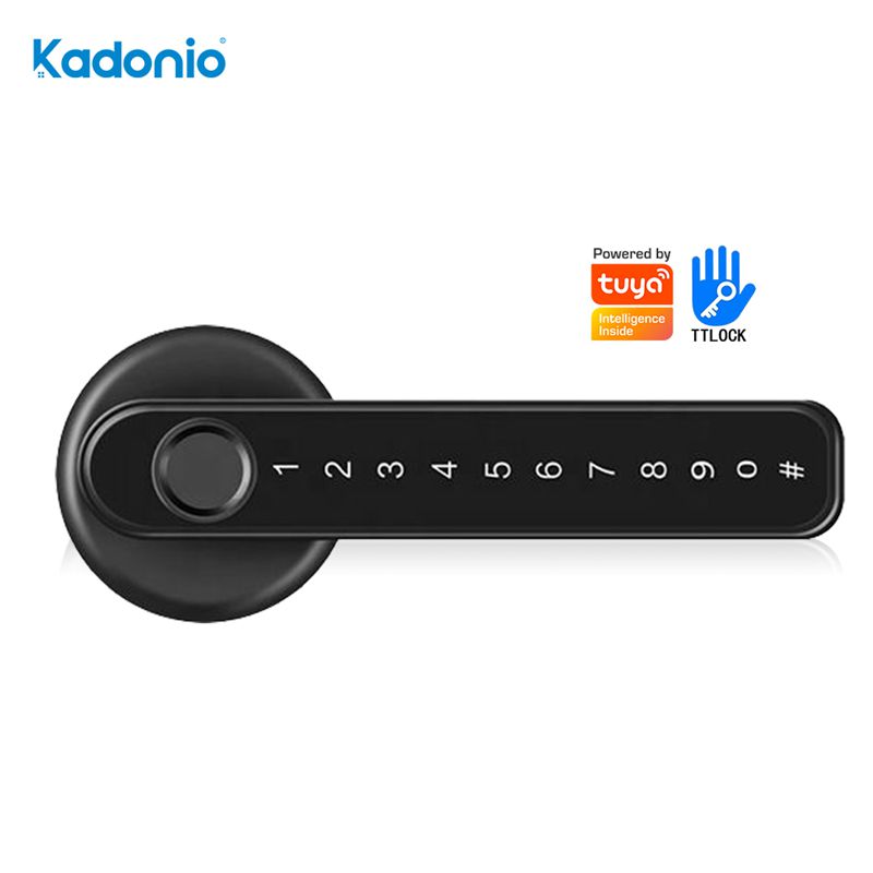 China 403-Smart Lock/ Deadbolt Handle Password Fingerprint Door ...