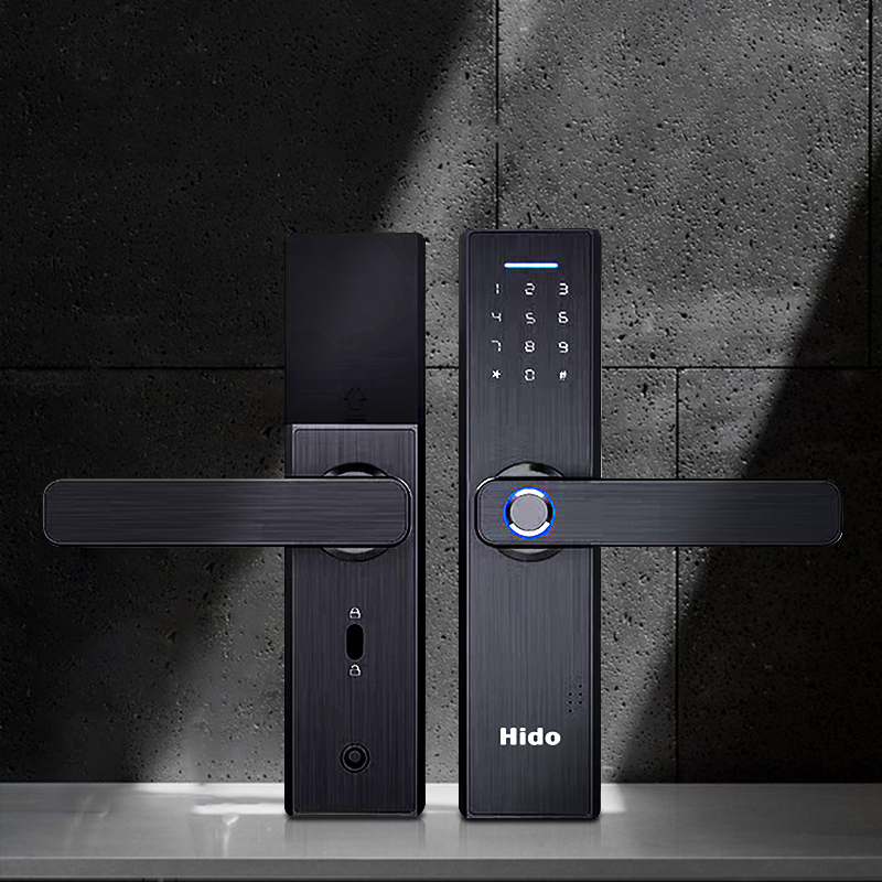 China Factory wholesale Ring Smart Lock HD 8632 Double Fingerprint Unlock More Safe Smart Door Lock Botin Manufacturer and Supplier LockBotin
