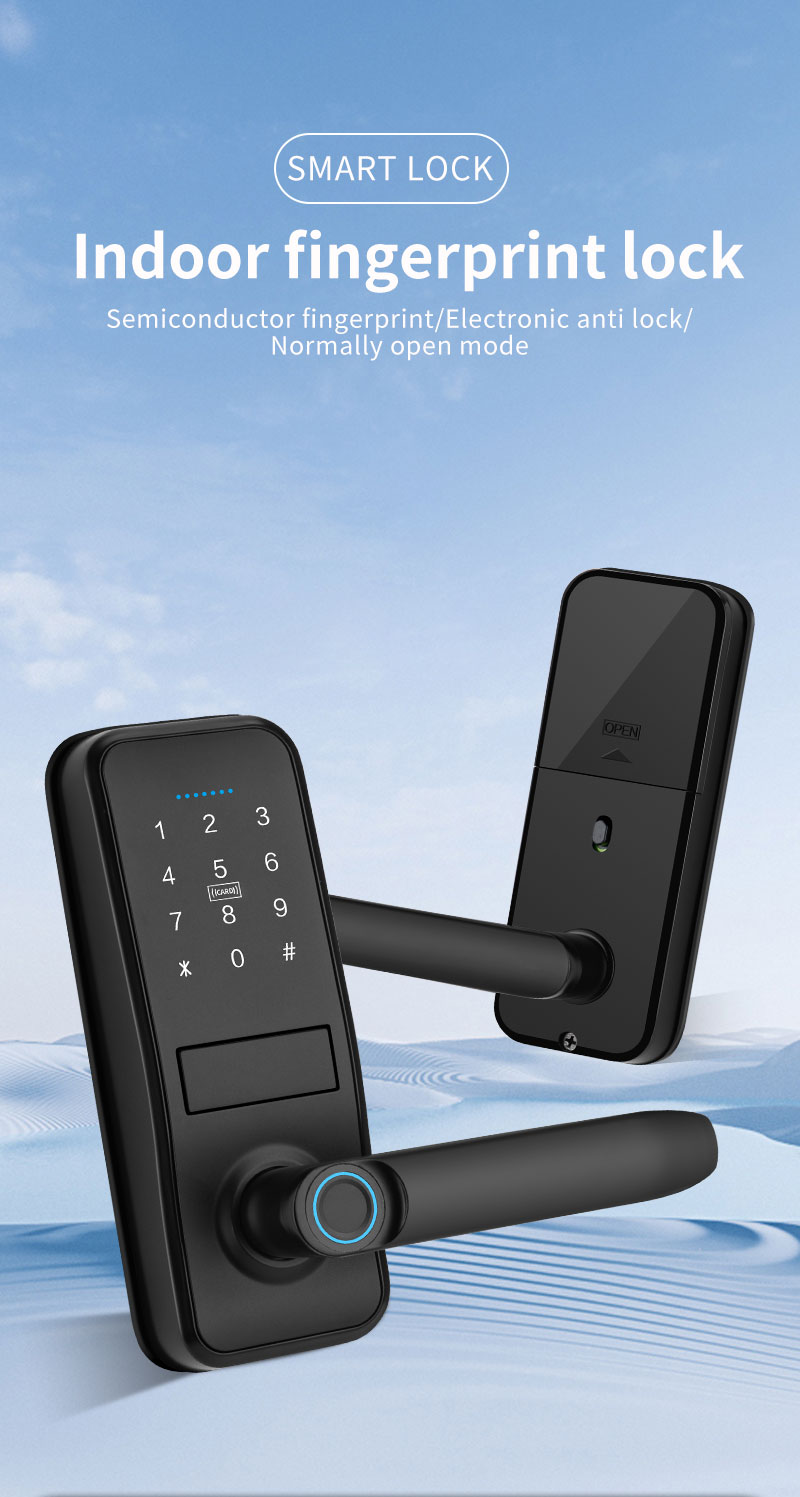 China 710-Smart Fingerprint Handle Lock/ Tuya TTLock Manufacturer and ...