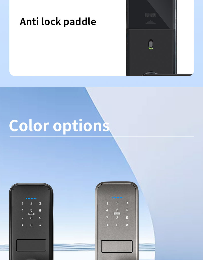 China 710-Smart Fingerprint Handle Lock/ Tuya TTLock Manufacturer and ...