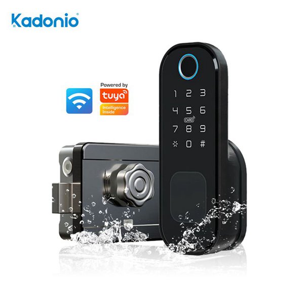 China 904-Fingerprint Door Lock/ WIFI Tuya TT Lock BT Manufacturer and ...