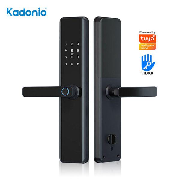 China 910 Fingerprint Wifi Door Lock Manufacturer and Supplier LockBotin