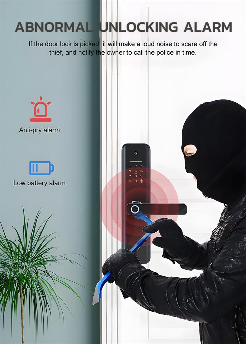 China 660-Electric Smart Lock/ Camera Visual cat’s eye / Tuya WiFi ...